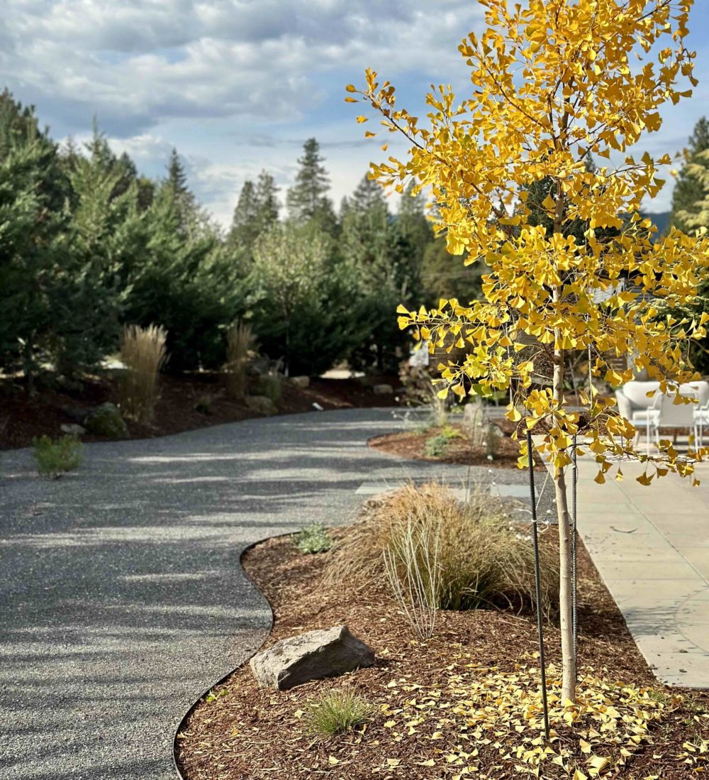 Sparhawk Garden Design - Projects + Portfolio